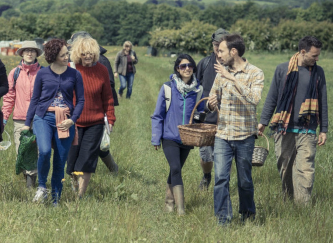 Go Foraging Autumn Walk - Bristol Good Food 2030
