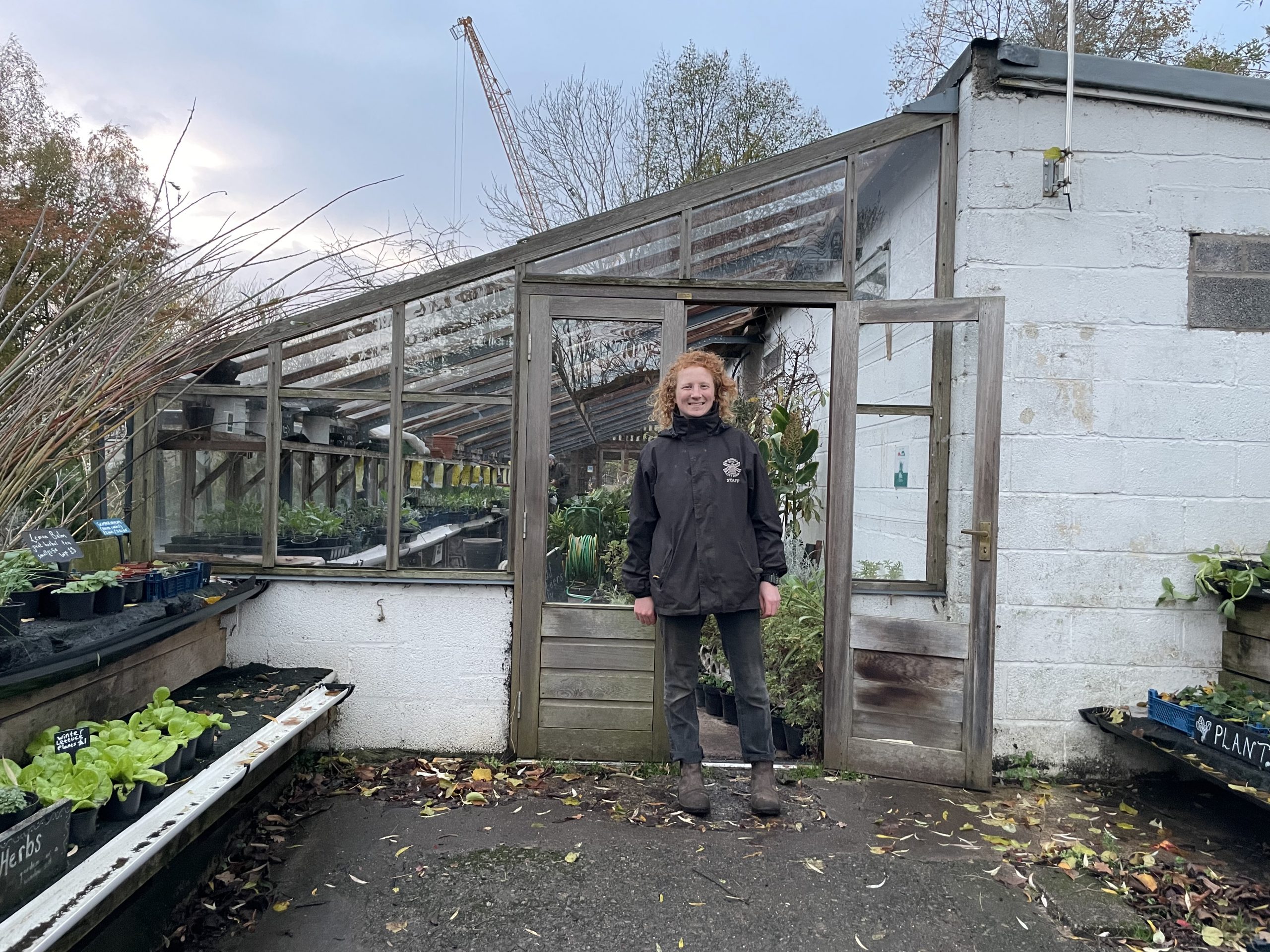 Bristol Community Food Gardens: Windmill Hill City Farm - Bristol Good ...