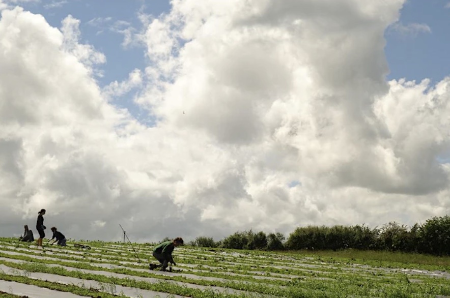 Community Farmer Day - Bristol Good Food 2030