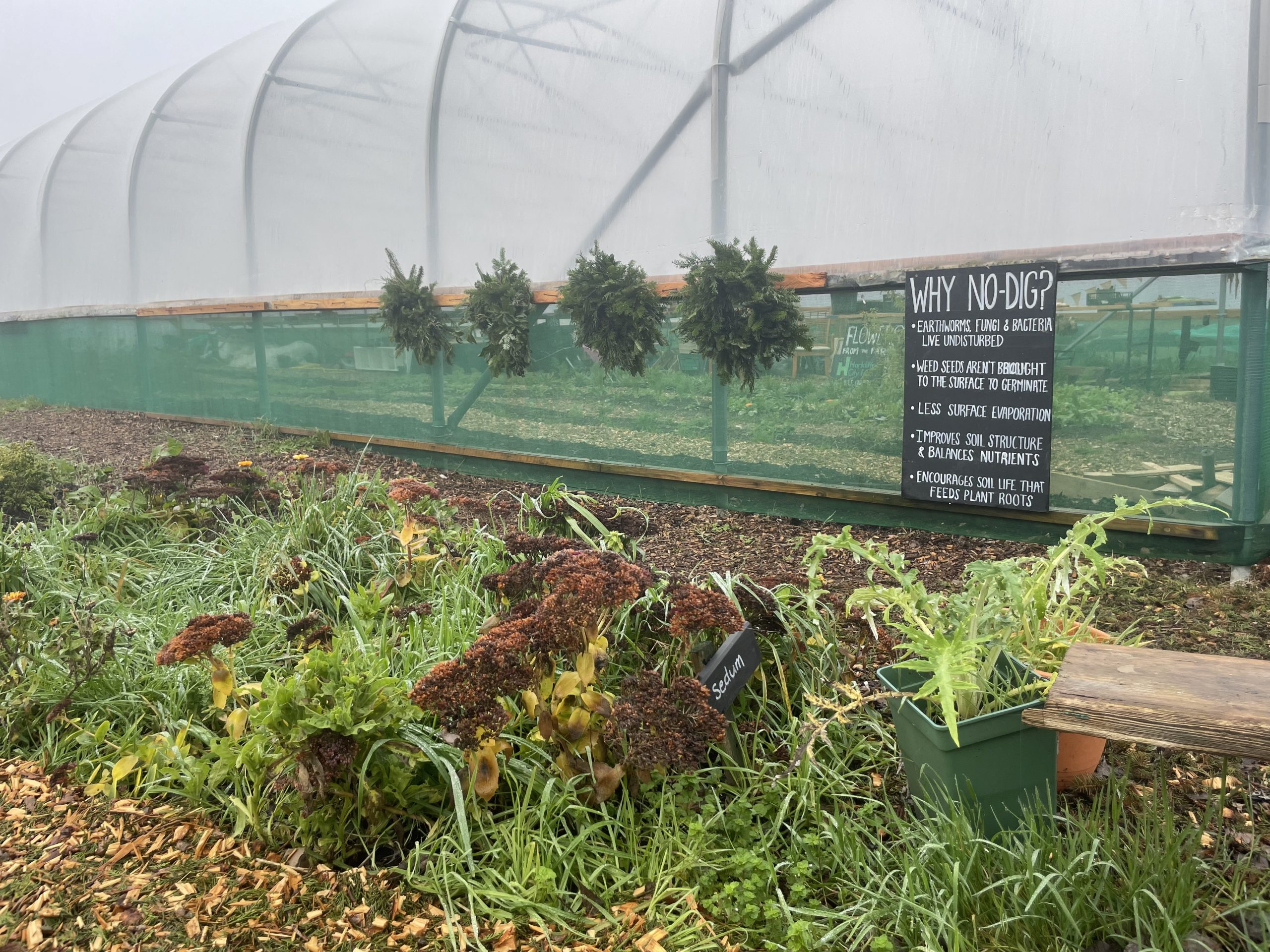 Bristol Community Food Gardens: Hartcliffe City Farm & Heart of BS13 ...