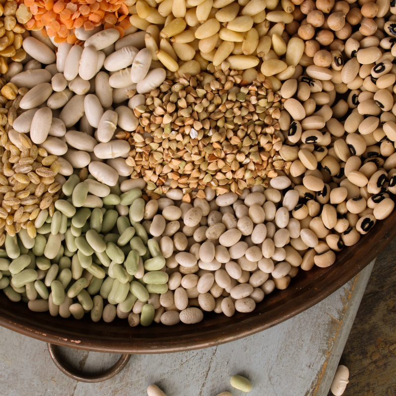 Coexist Community Kitchen: Full of Beans! - Bristol Good Food 2030