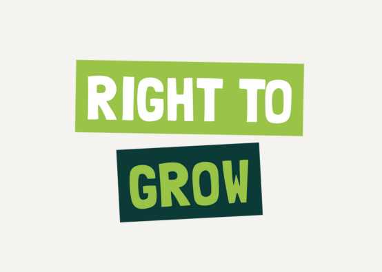 Right to Grow Learning Network: Building the Case for a Right to Grow ...