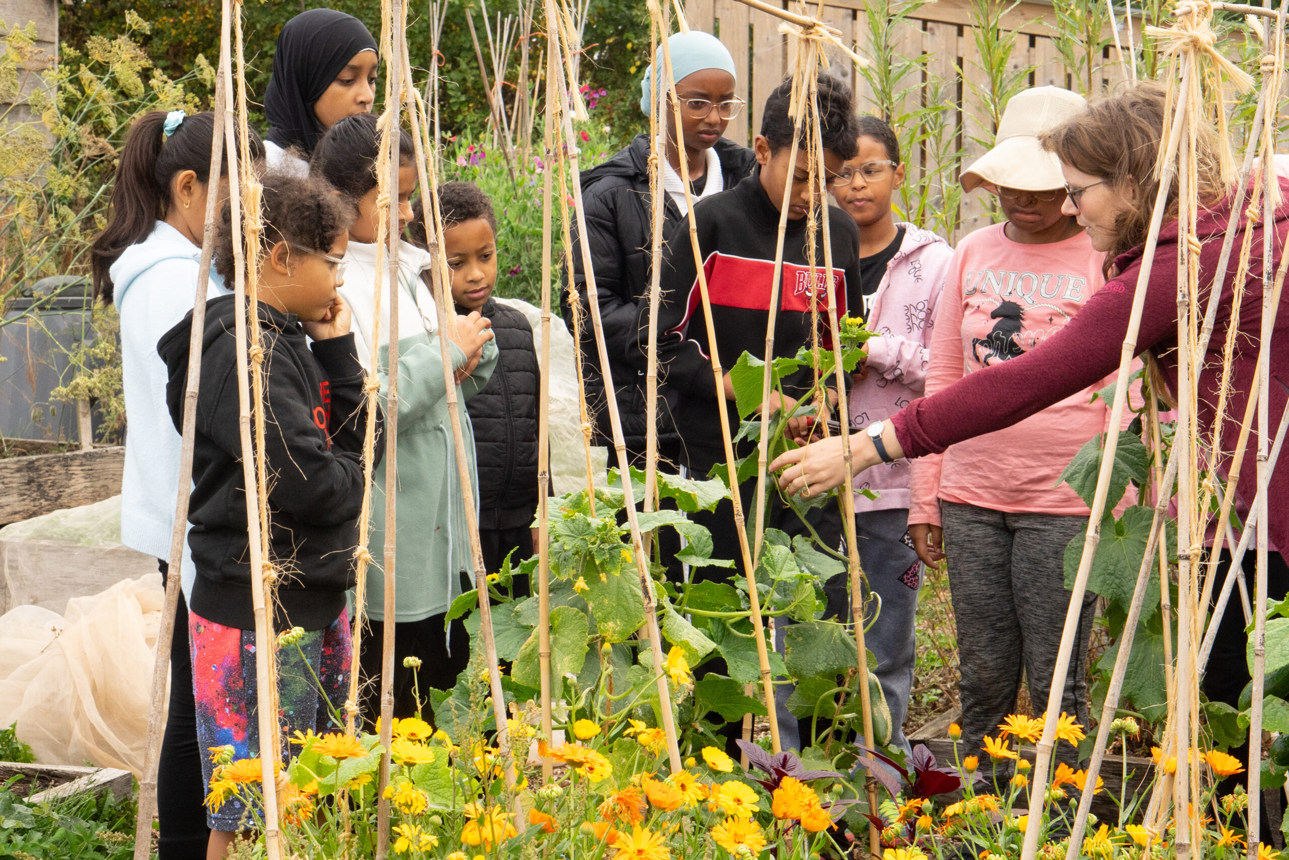 Urgent appeal: The Community Farm to launch £50,000 Crowdfunder to ...